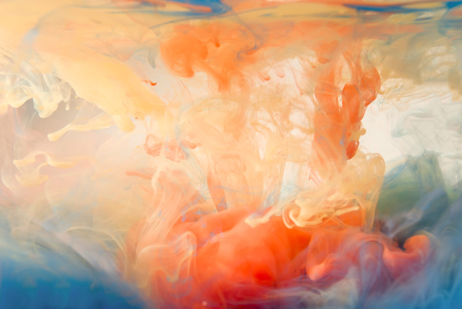 HOME - 株式会社Honzan